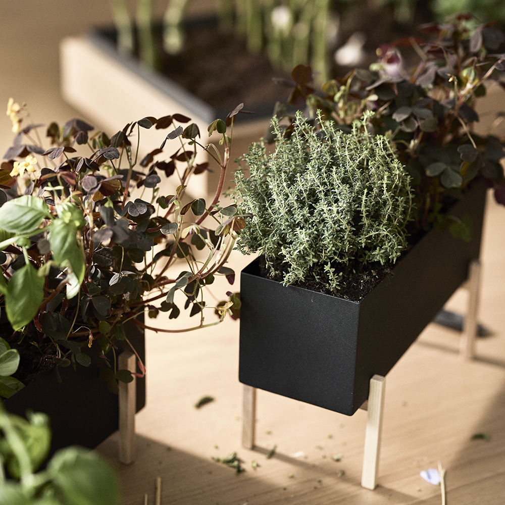 Botanic Box 園藝植栽架（盒型） | 北歐櫥窗 NORDIC