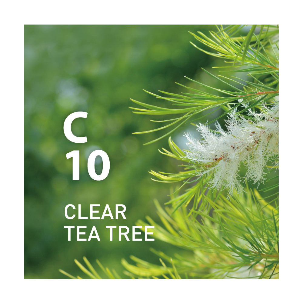 Piezo 香氛機專用 | 淨化系列 C10 精油（清新茶樹、100ml） | 北歐櫥窗 NORDIC